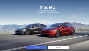 Gorgeous silver Model 3 becomes centerpiece at Tesla employee party