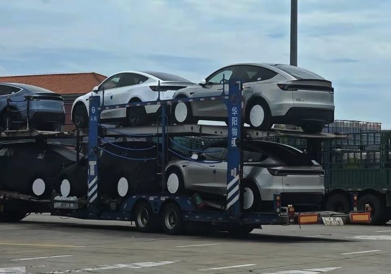 Comprehensive Tesla Model Y L insights shared by early reviewer