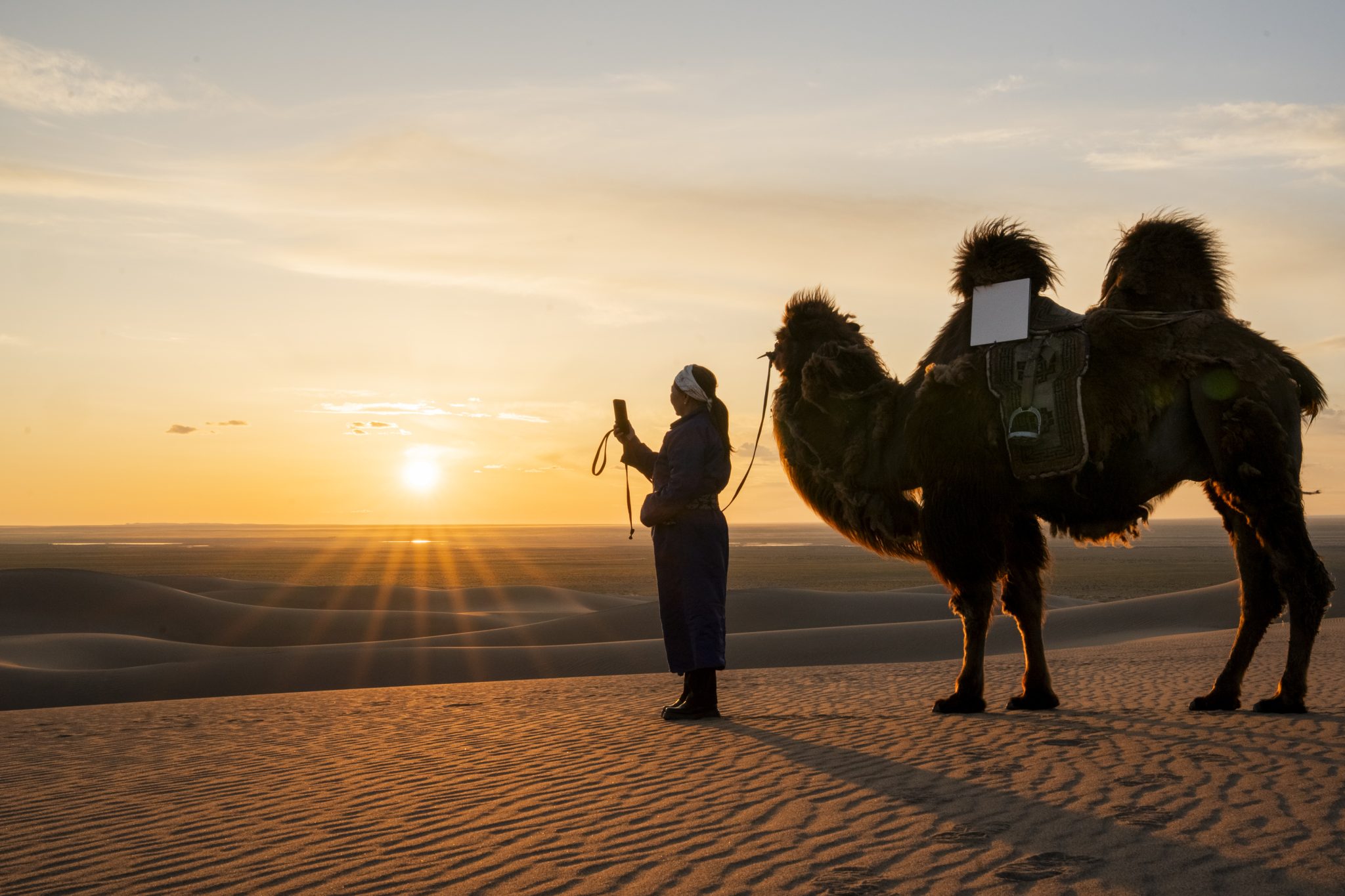 Tesla Optimus shows off its newest capability as progress accelerates